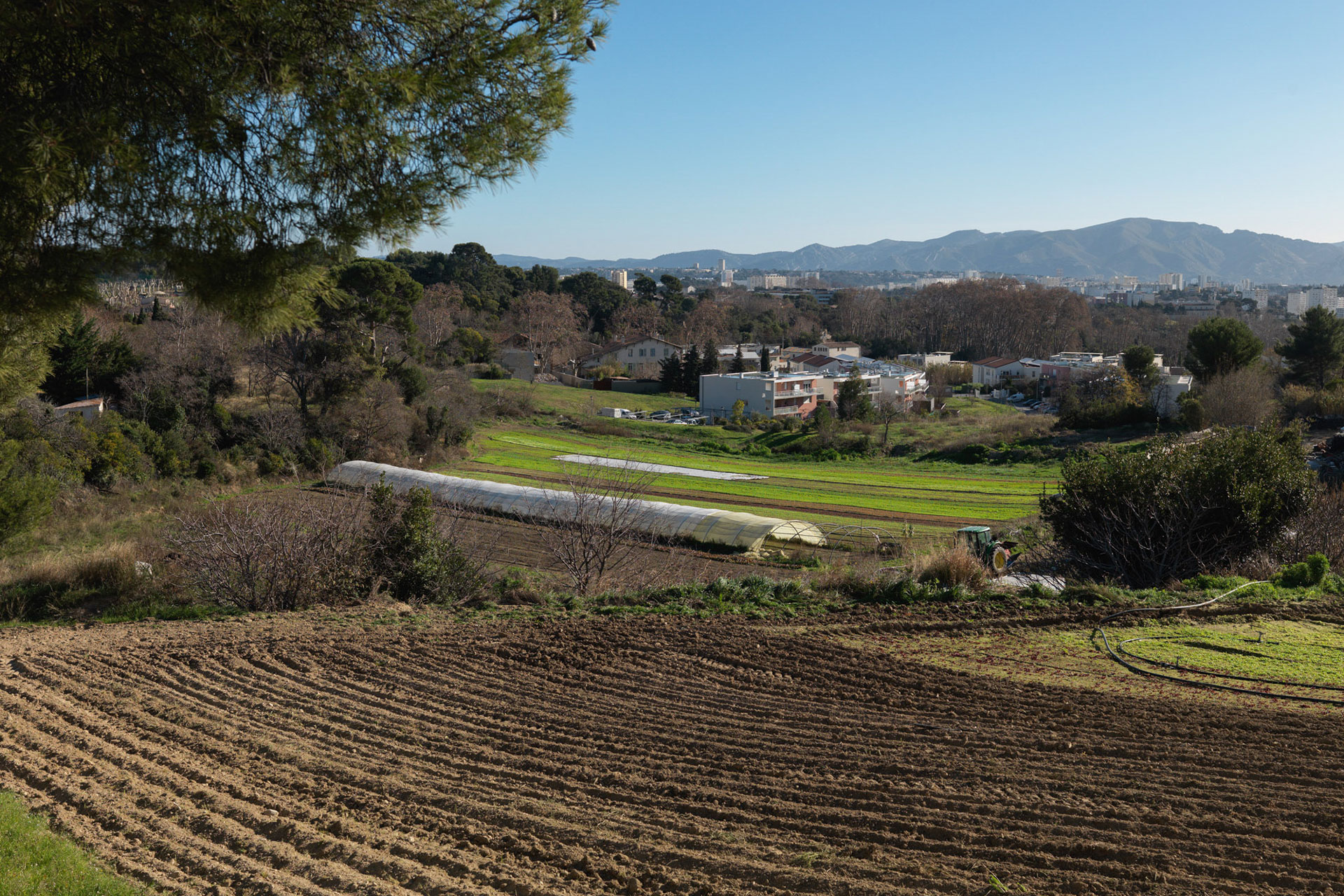 Ensa Paris-Est — Réseau Espace Rural Projet Spatial